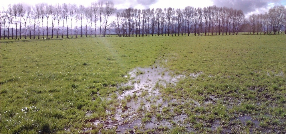 Subsoil Aeration Benefits