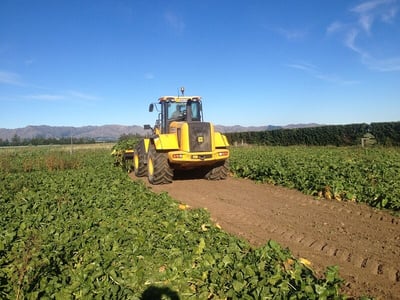 Beet Bucket | Rata Equipment Fodder Beet Harvesting Bucket | Rata ...