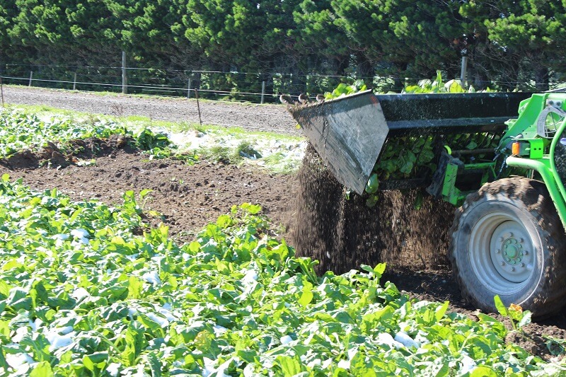 Beet Bucket | Rata Equipment Fodder Beet Harvesting Bucket | Rata ...