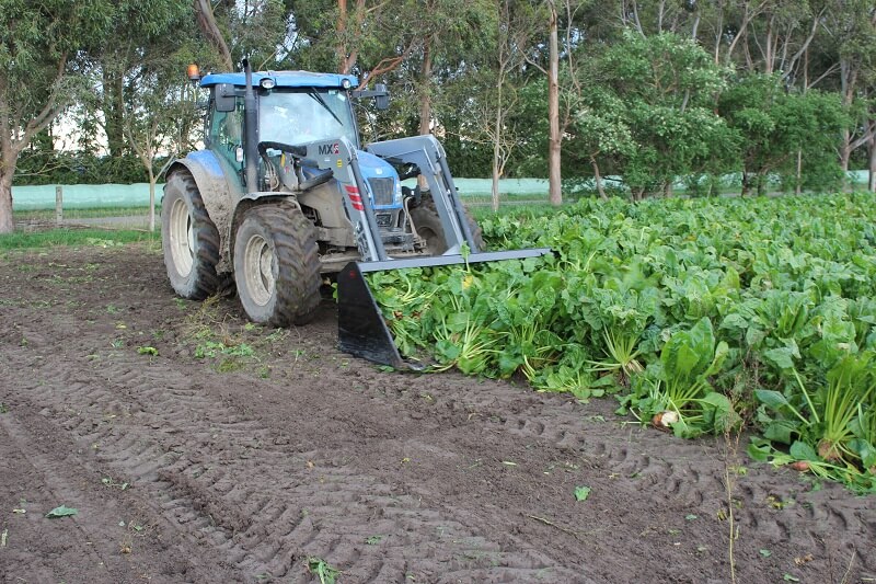 Beet Bucket | Rata Equipment Fodder Beet Harvesting Bucket | Rata ...